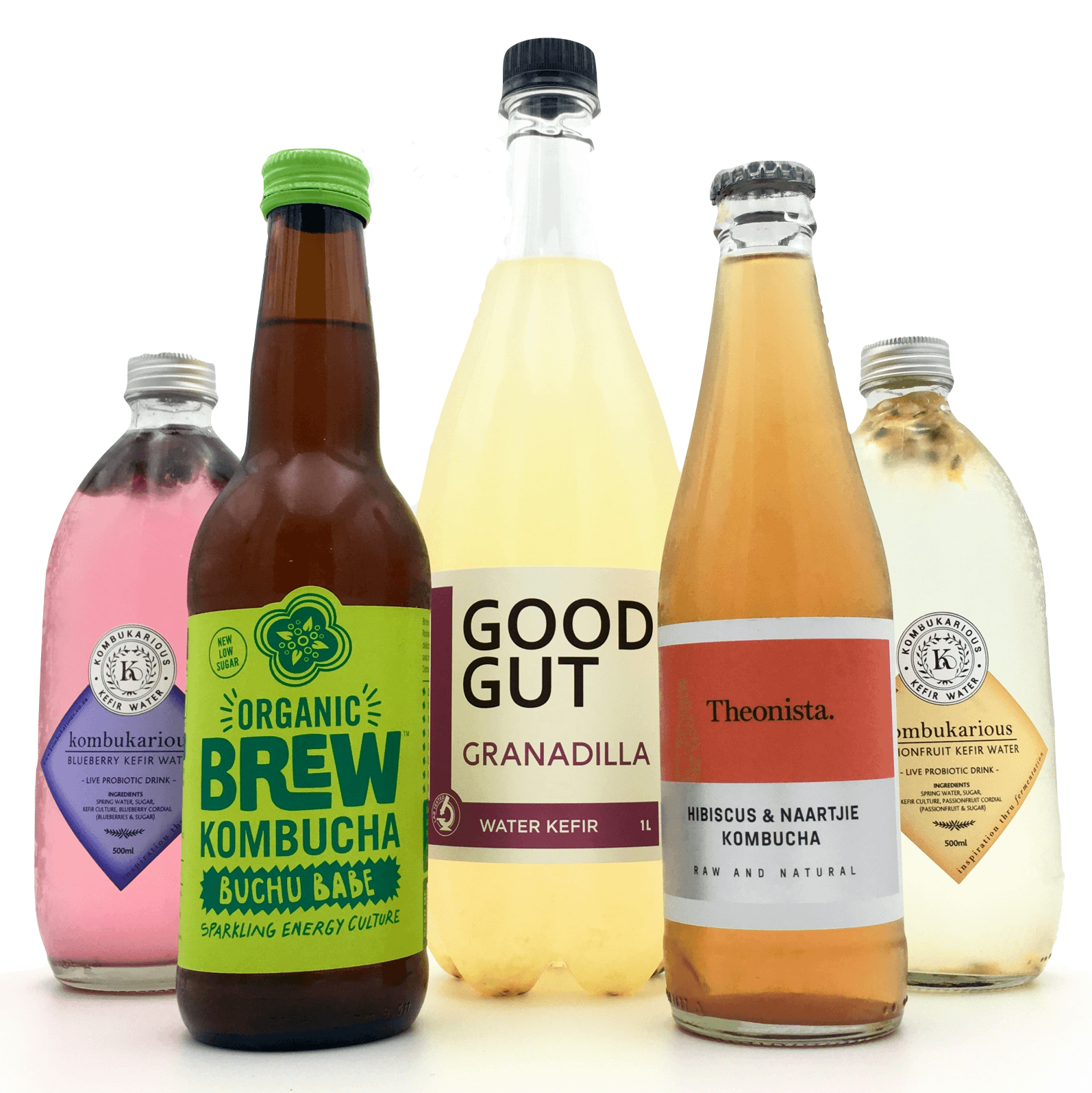 Kombucha & Kefir Water – Wildsprout